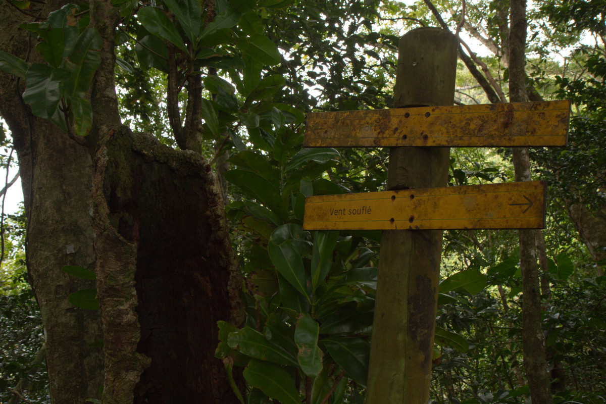 La trace des Monts Caraïbes – Voyage Hors Saison