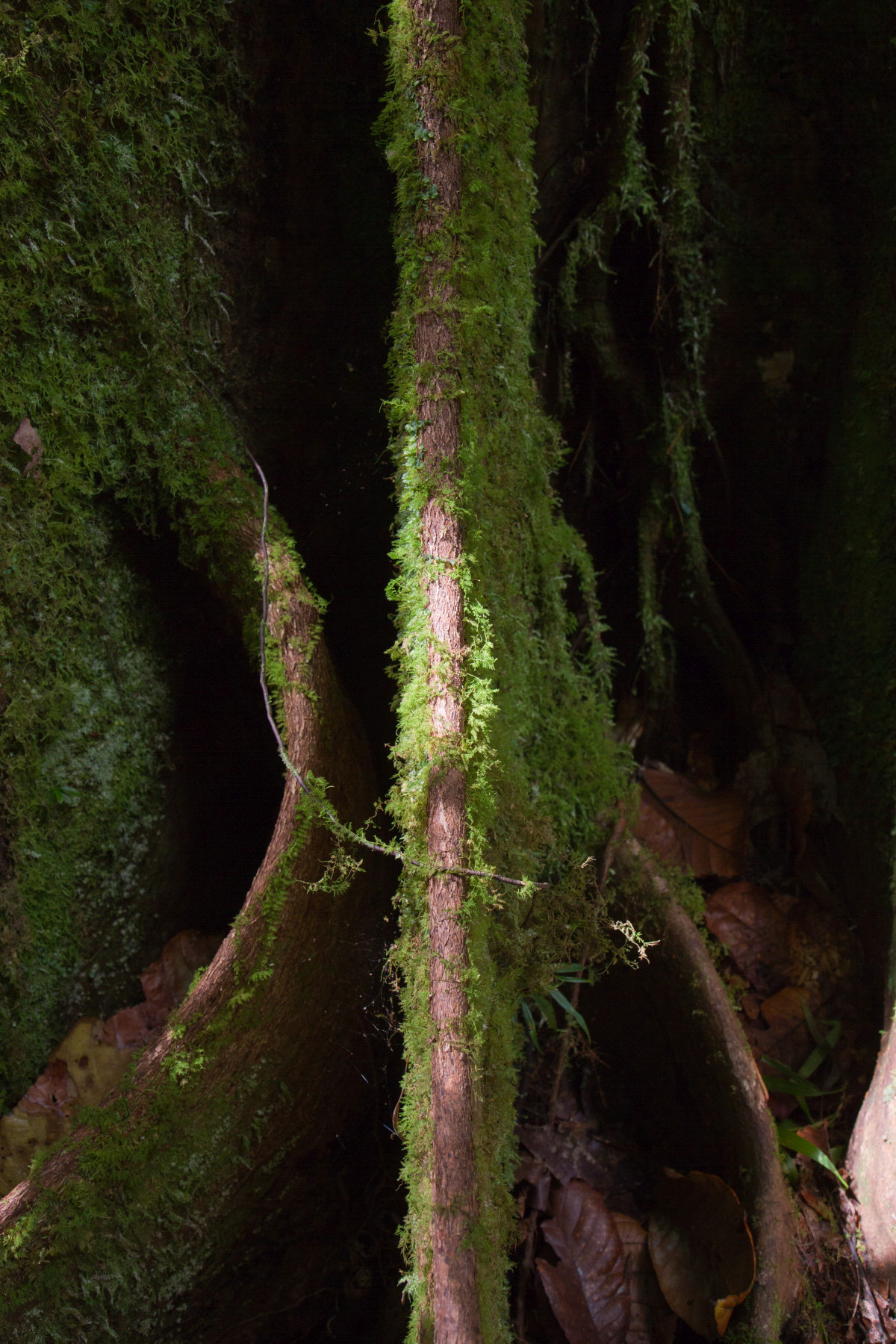Sentier de découverte à la Maison de la Forêt – Voyage Hors Saison
