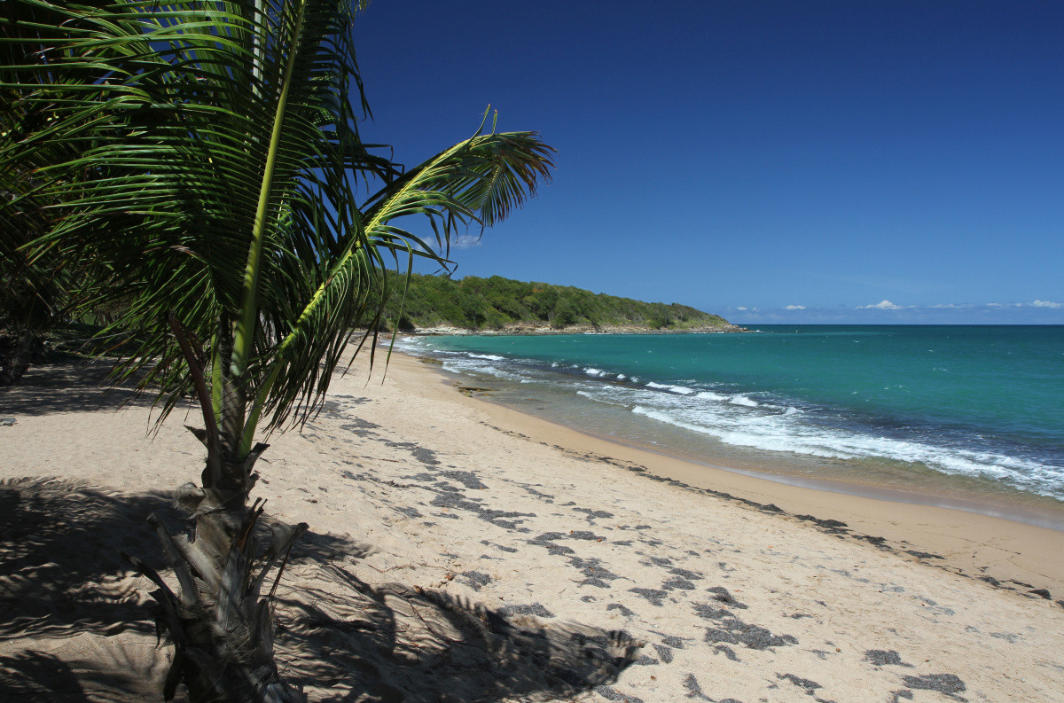 De la Plage de Nogent à la Plage des Amandiers – Voyage Hors Saison