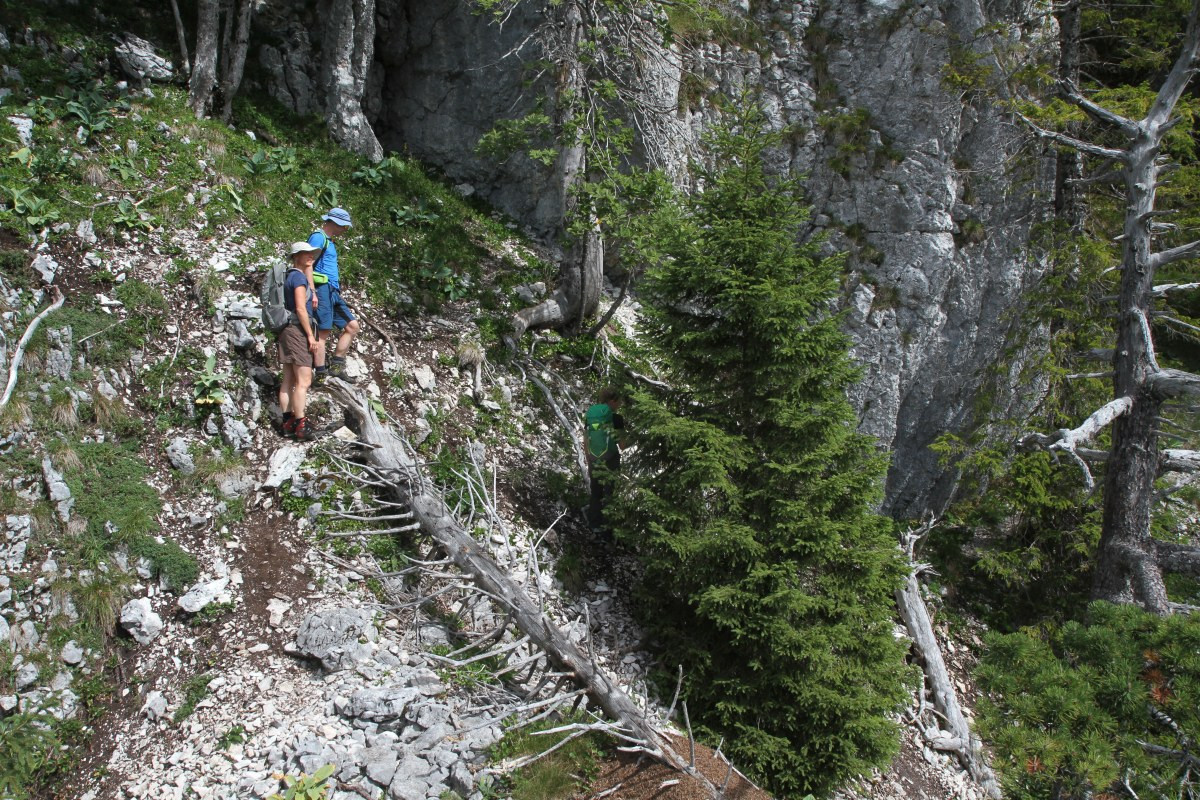 Par la face sud au sommet des Aiguilles de Baulmes