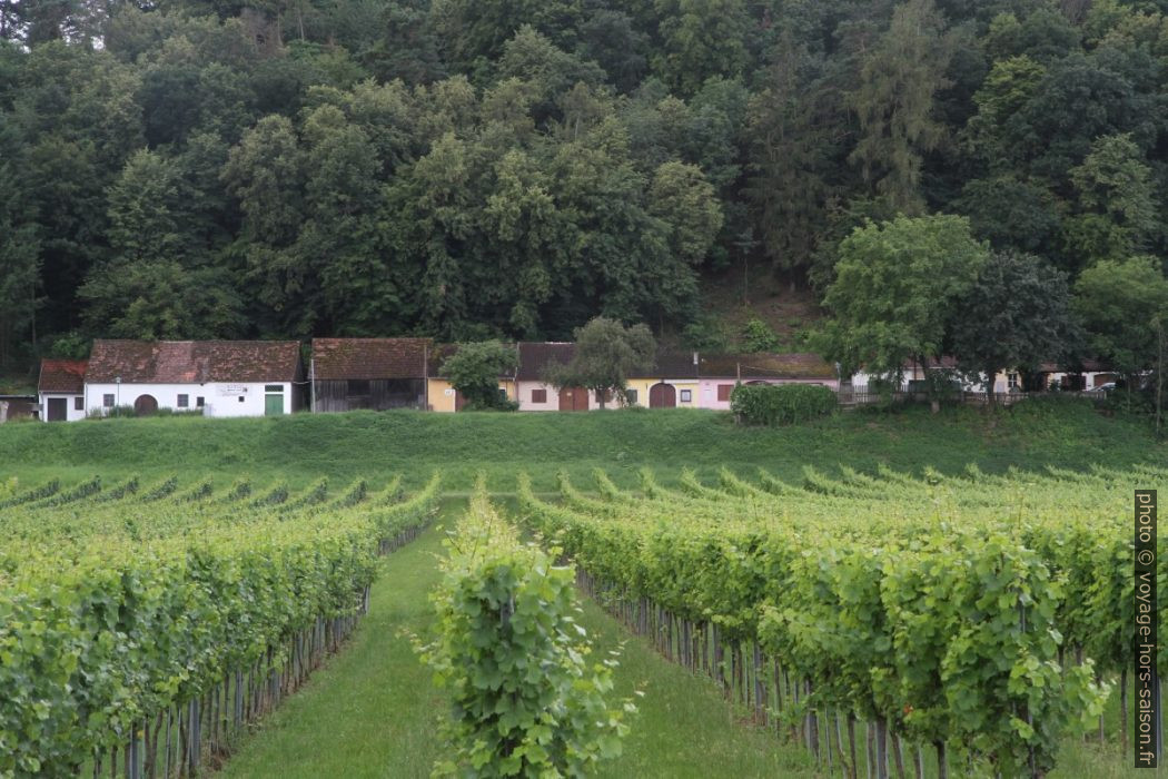 Ruelle de caves à vin Eichberger Kellergasse – Voyage Hors Saison