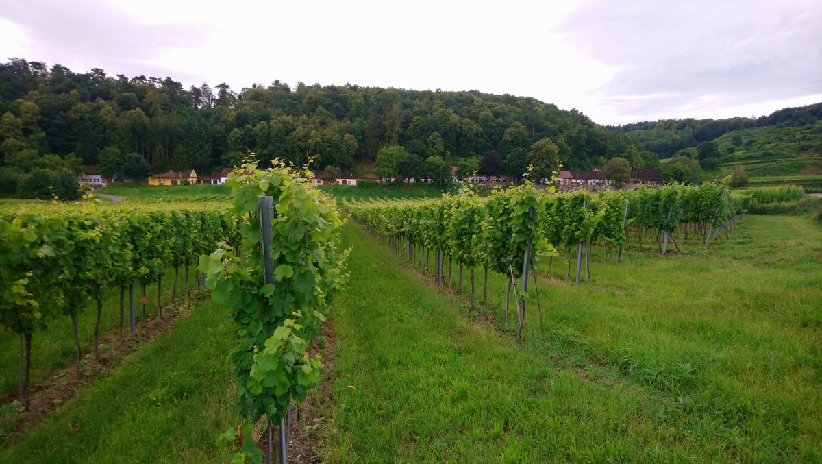 Ruelle de caves à vin Eichberger Kellergasse – Voyage Hors Saison