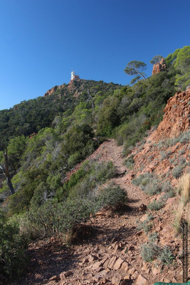 Randonnée ensoleillée au Cap Dramont le 1er novembre