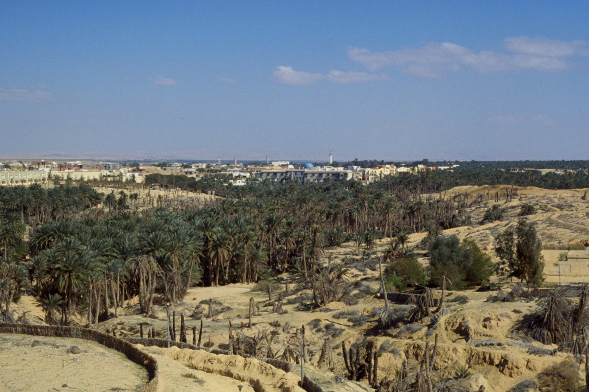 Les oasis de Tozeur et de Nefta au bord du Sahara