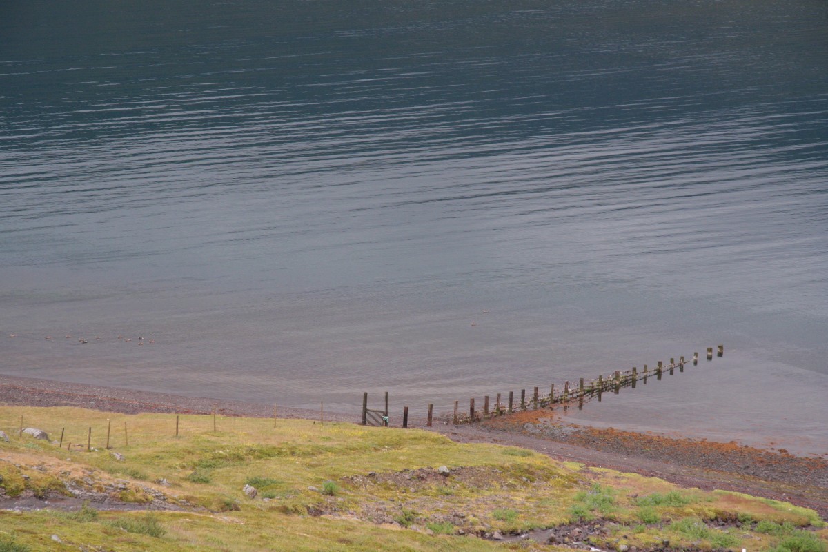 Le tour du Cap Vattarnes est notre dernière excursion en Islande ...