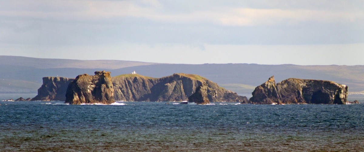 Passage dans les Îles Shetland par un soleil radieux – Voyage Hors Saison