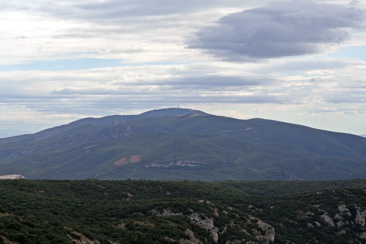Le Massif des Cèdres du Petit Luberon – Voyage Hors Saison