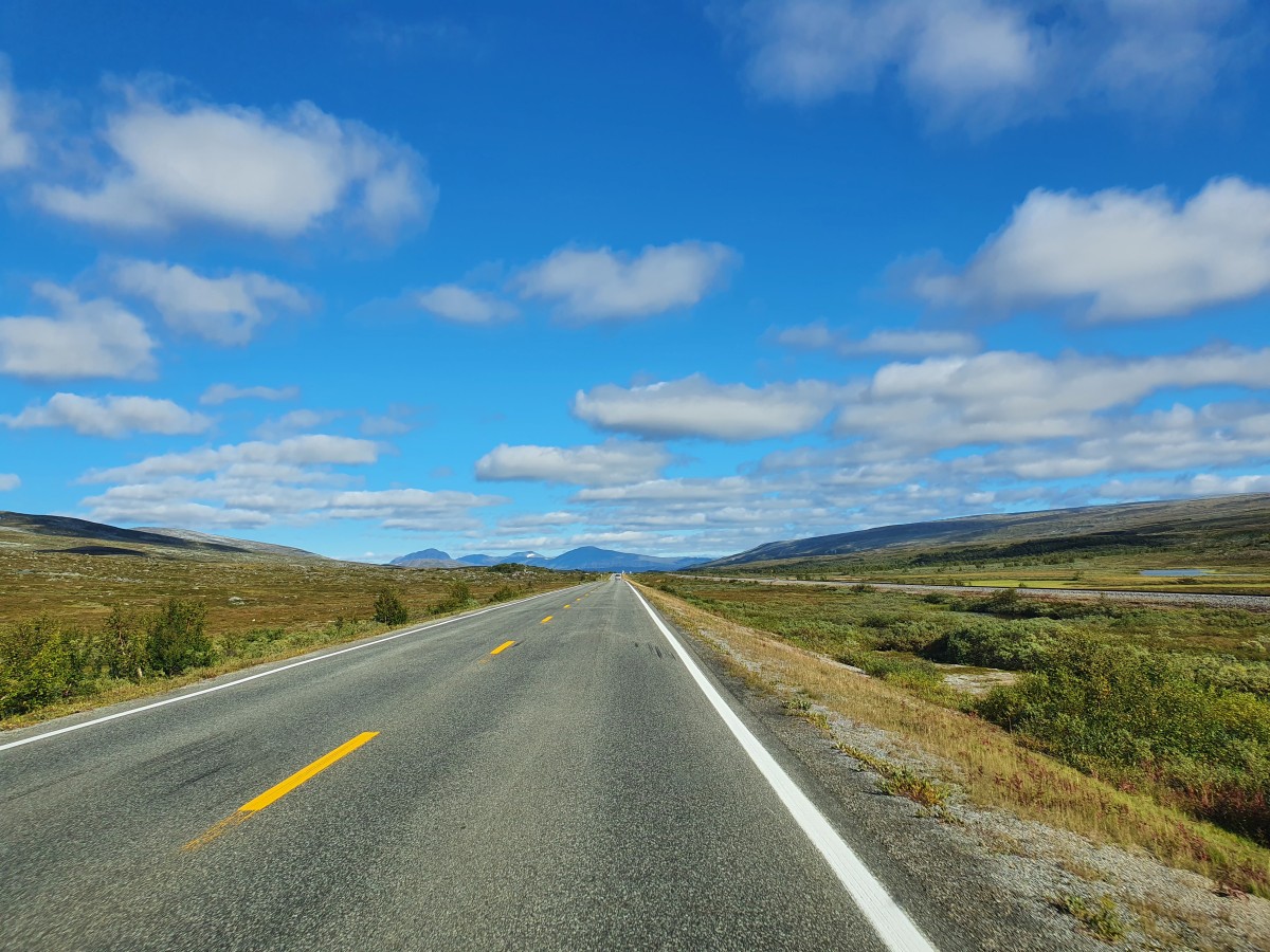 Le plateau du Saltfjell en été – Voyage Hors Saison