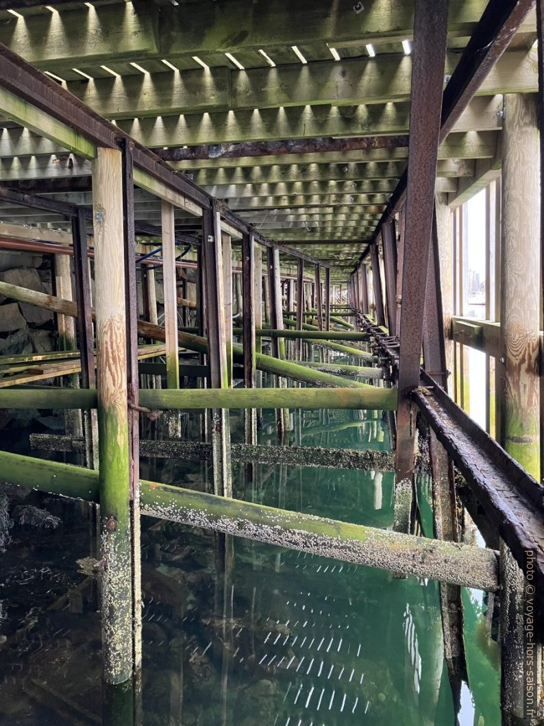 Ballstad port de pêche – Voyage Hors Saison