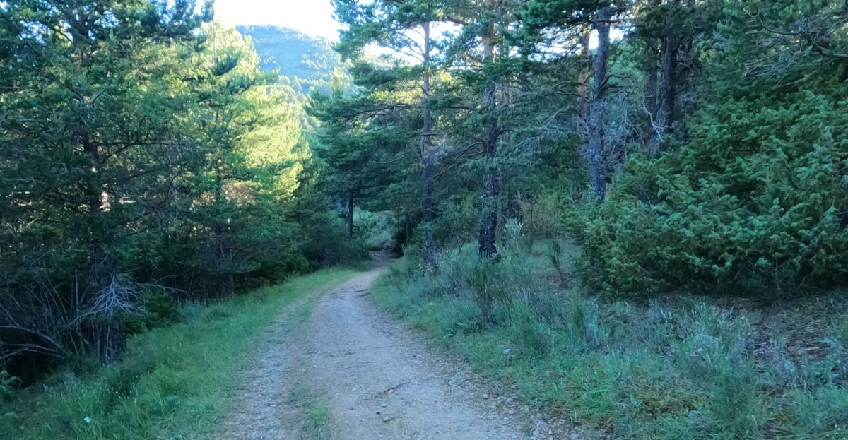 Du Col des Lèques vers les fossiles de siréniens et Serraje – Voyage ...