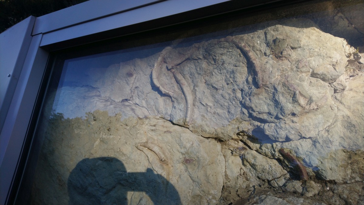 Du Col des Lèques vers les fossiles de siréniens et Serraje – Voyage ...